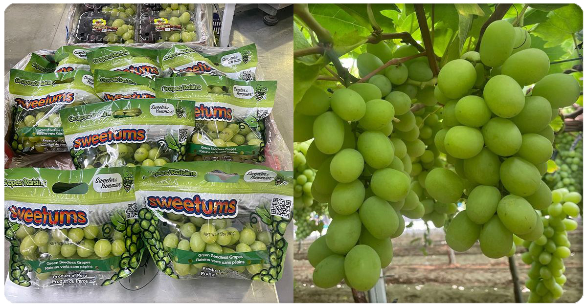 Kopke - Sweetums - Packaging Design for Fruit